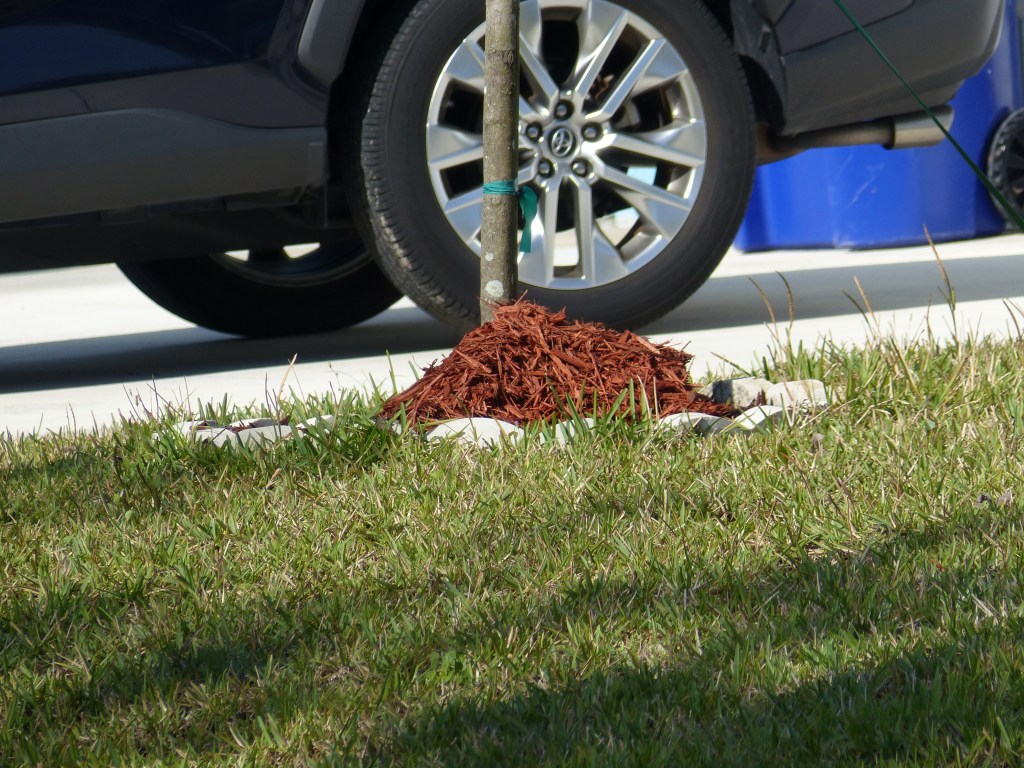 To Mulch or Not to Mulch