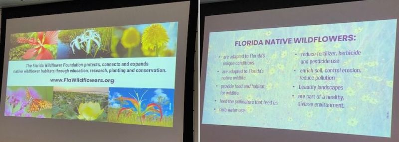 Flower Power Diversity